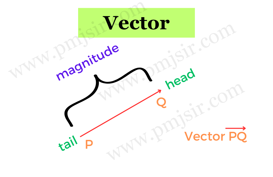 What are various types of vectors - Physics Around Us
